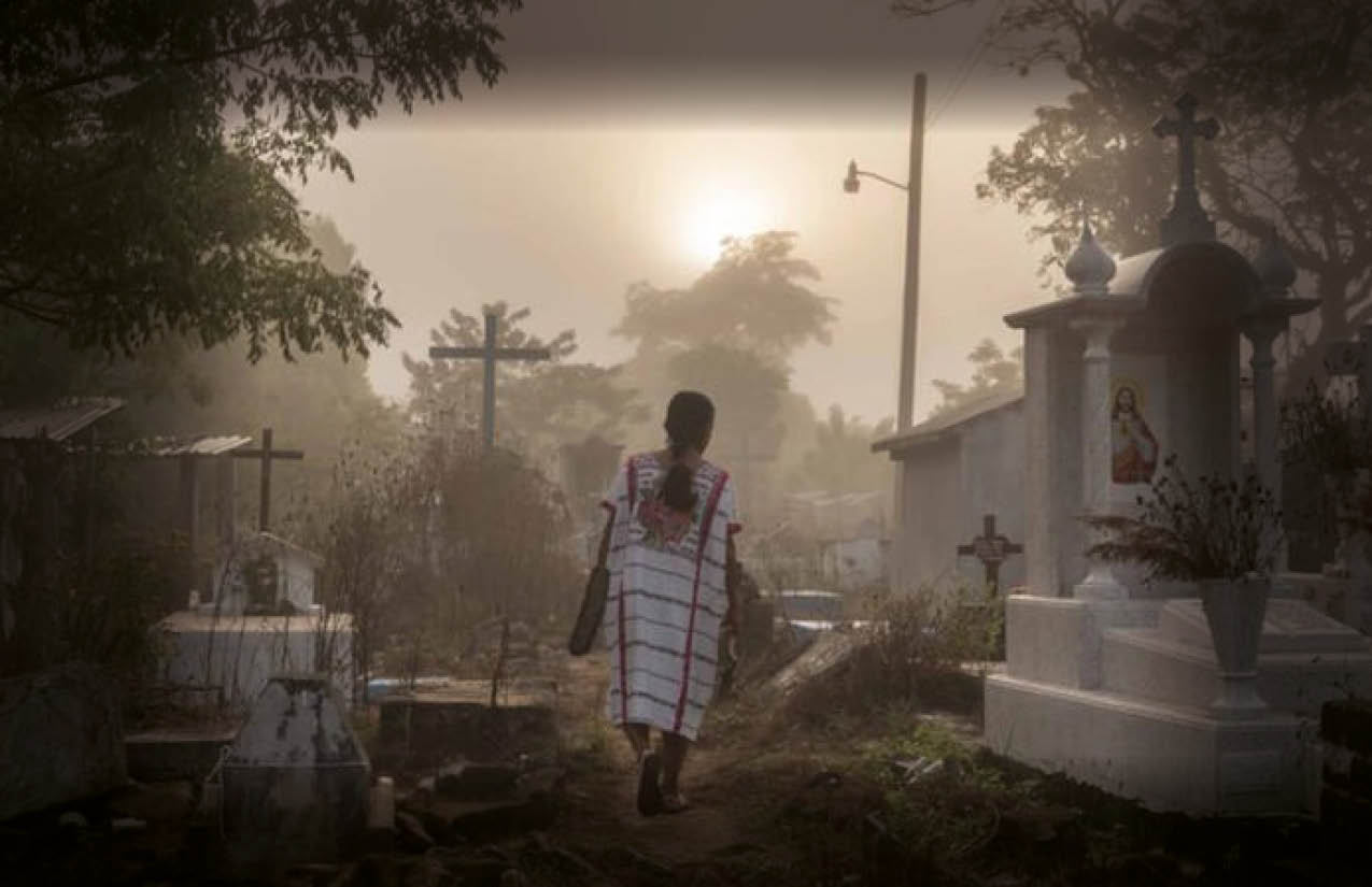 Hilando sones, el documental que rompe barreras - Más Información